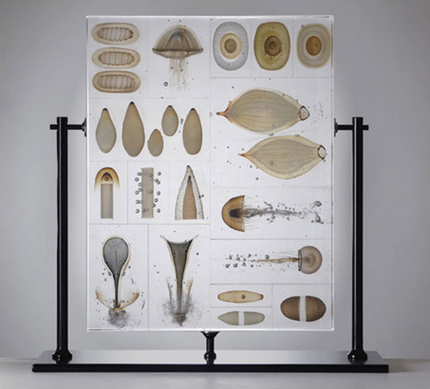 神秘的なガラスアート『Steffen Dam Glass』 | しちごろく